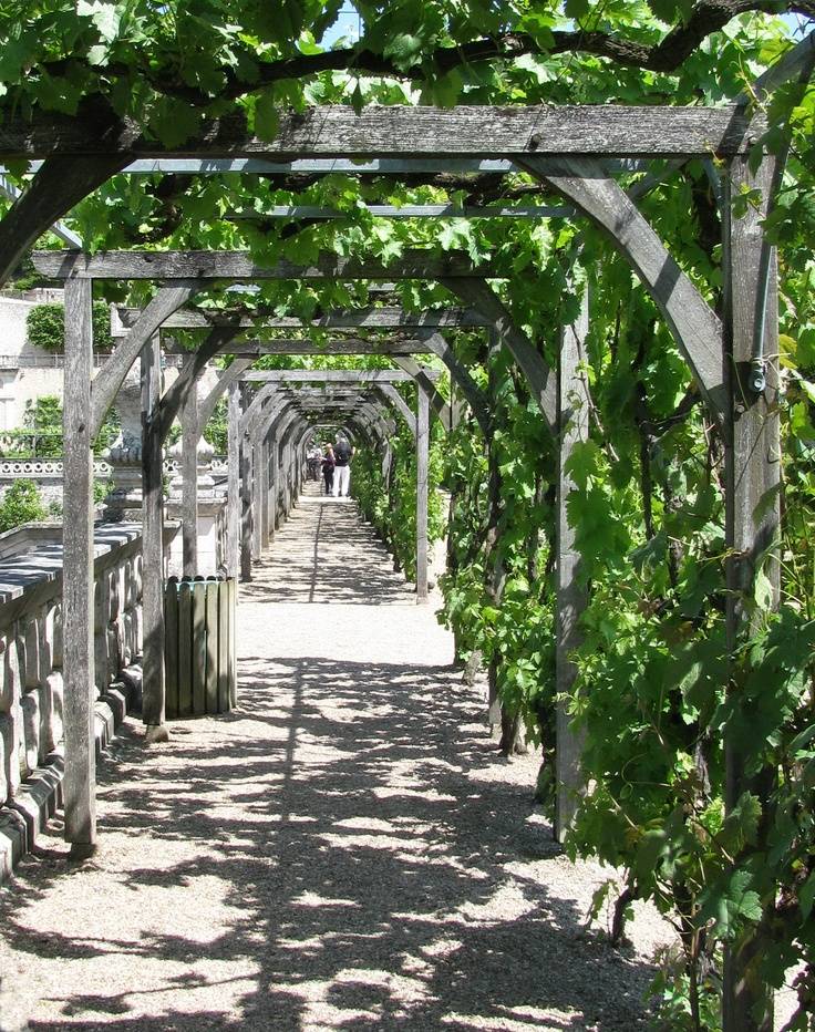 25 Rustic Country Garden Arbor Ideas You Should Look | SharonSable