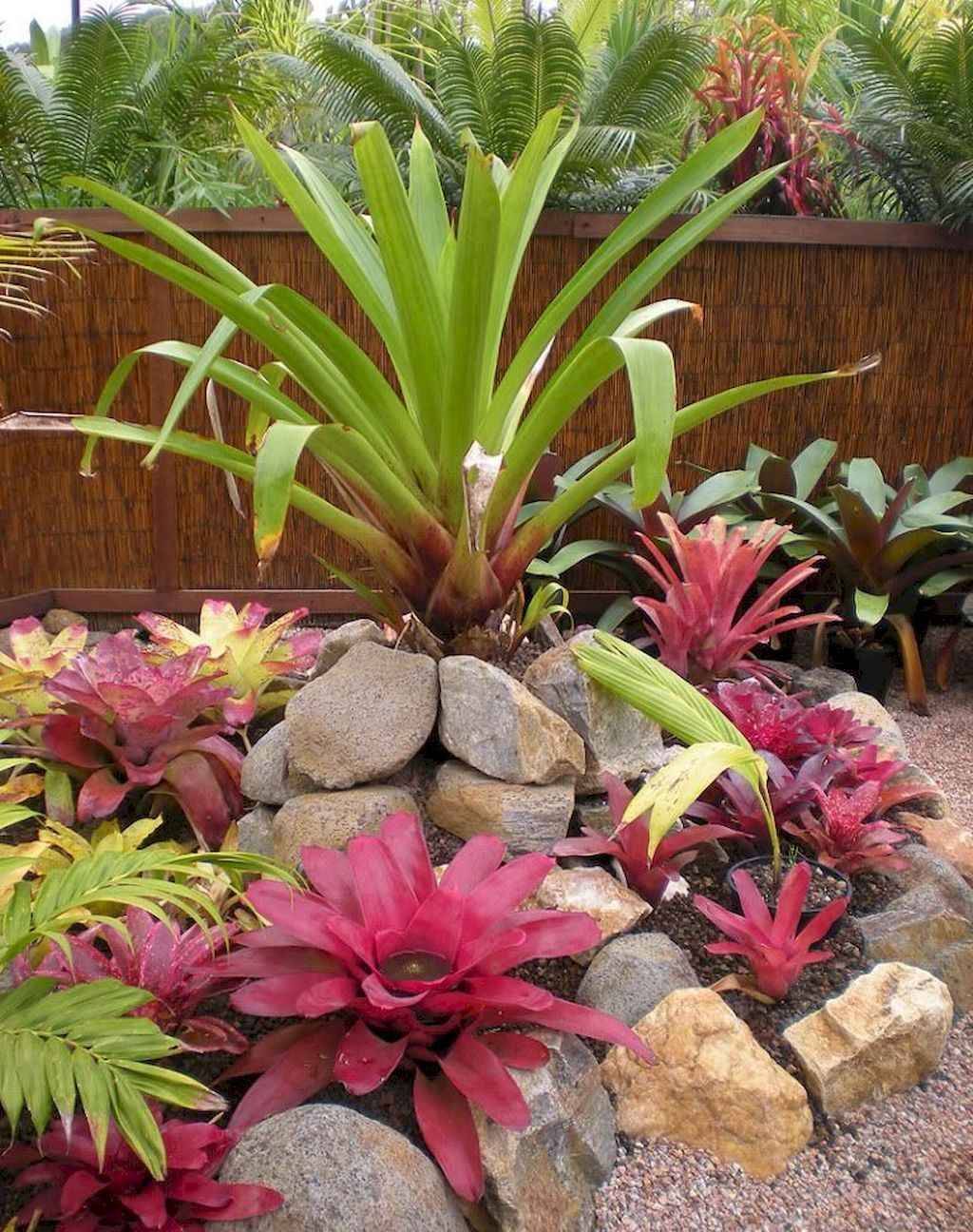 25 Tropical Rock Garden Ideas You Should Check | SharonSable