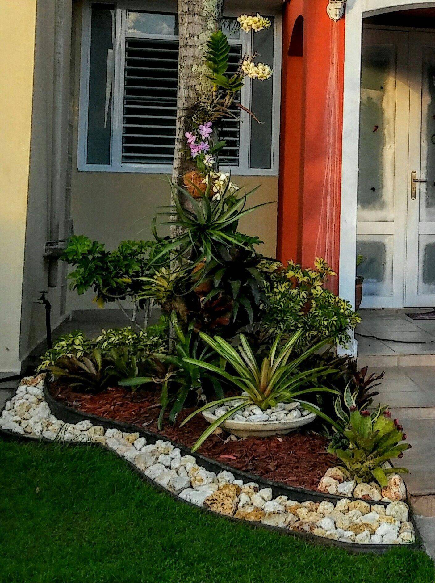 25 Tropical Rock Garden Ideas You Should Check | SharonSable