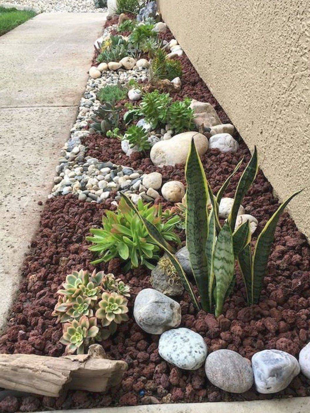 25 Tropical Rock Garden Ideas You Should Check | SharonSable
