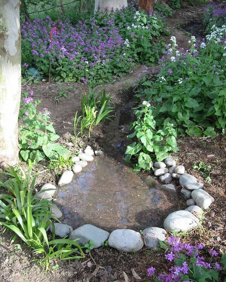 27 Pinterest Rock Garden Ideas To Try This Year | SharonSable