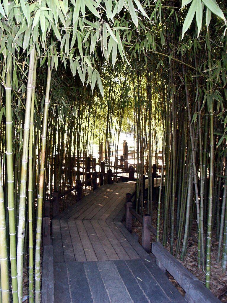 23 Japanese Bamboo Garden Design Ideas You Should Check | SharonSable
