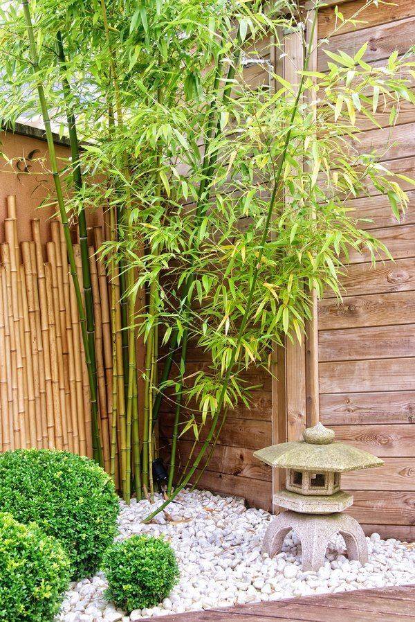 23 Japanese Bamboo Garden Design Ideas You Should Check | SharonSable
