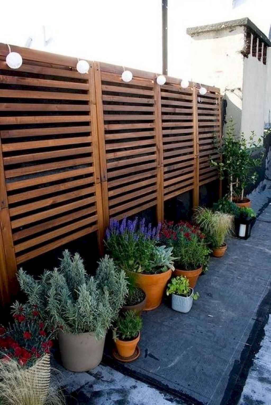 24 Garden Privacy Wall Ideas For This Year | SharonSable