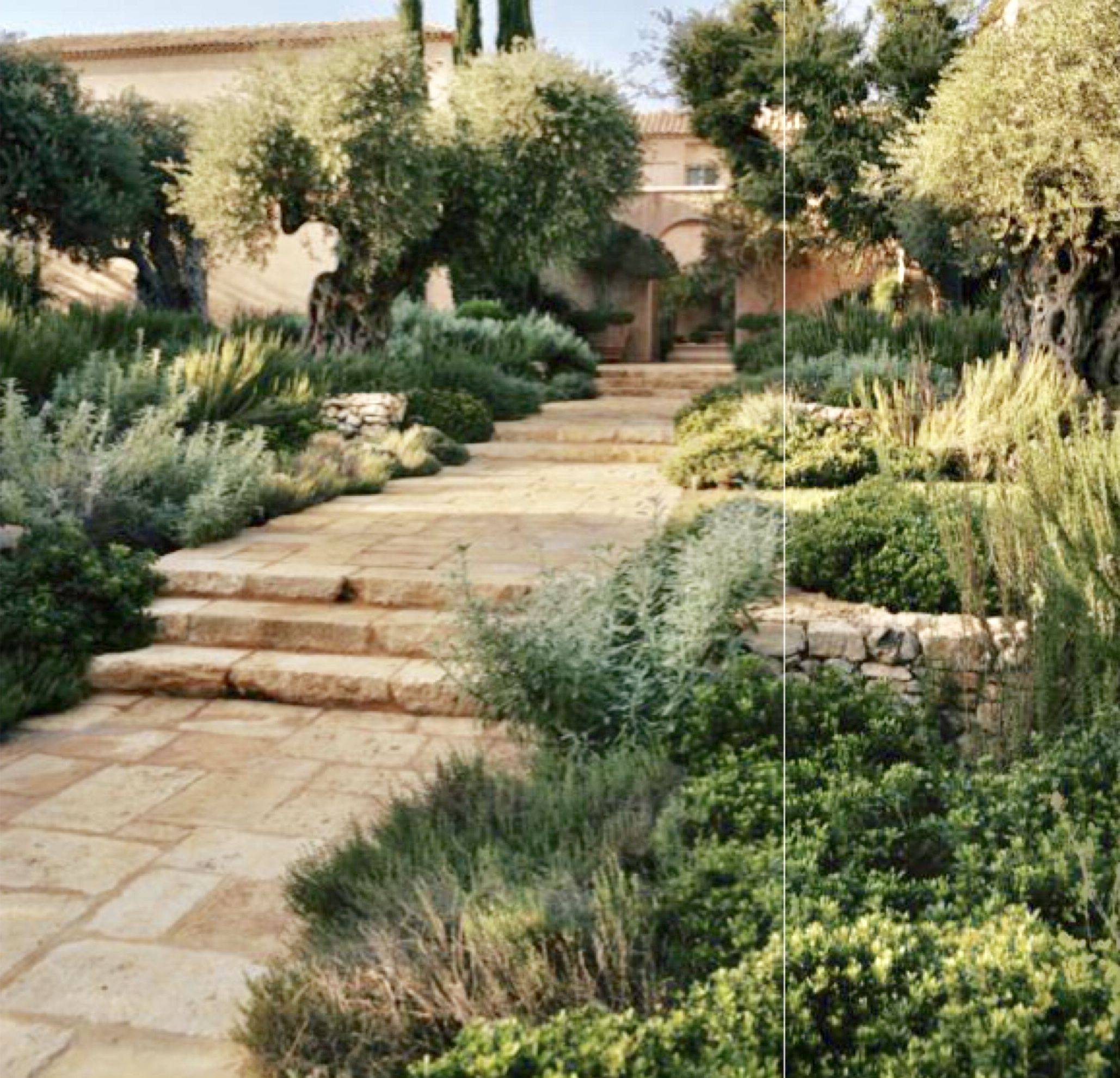 24 Beautiful Mediterranean Garden Ideas You Must Look | SharonSable