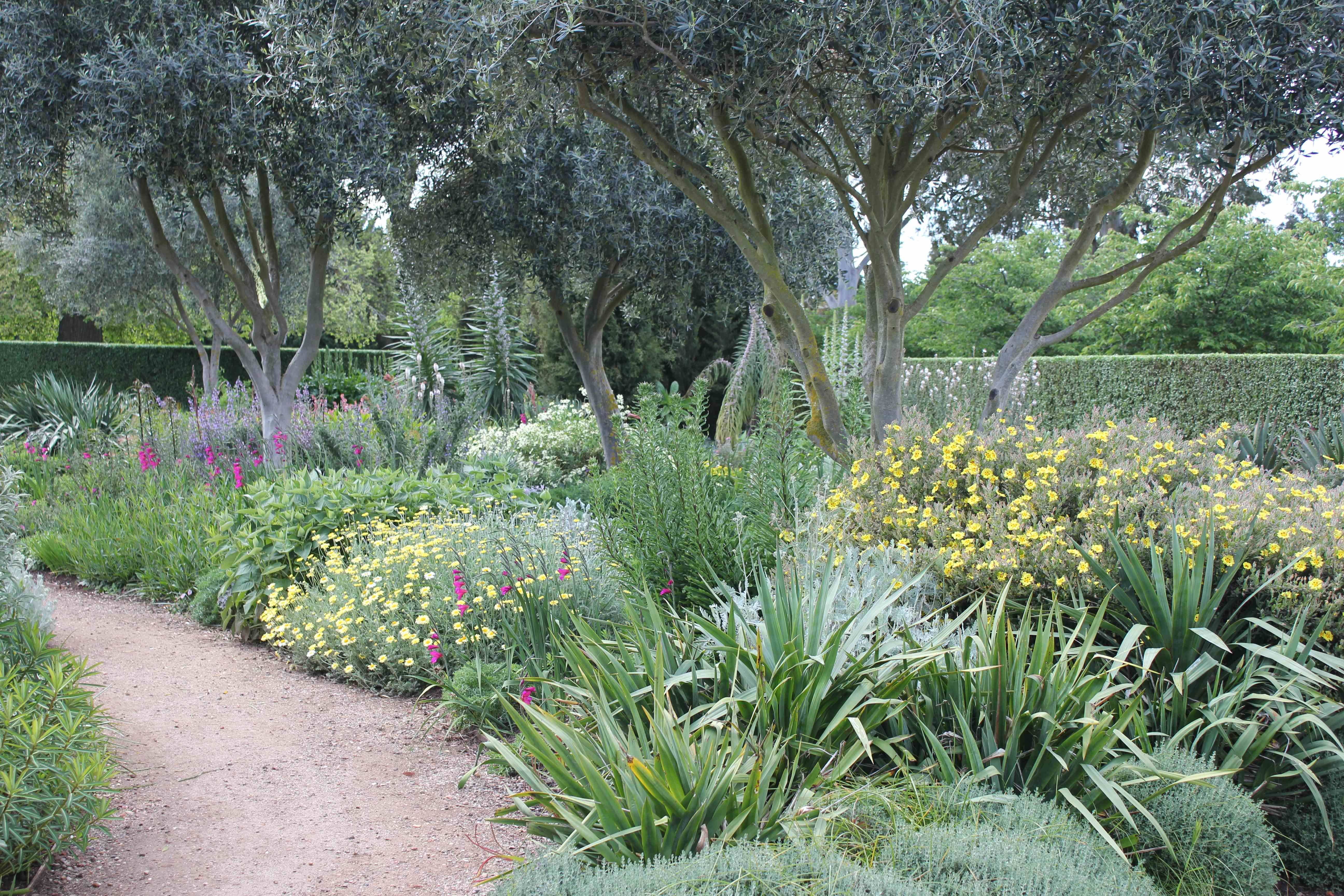 25 Mediterranean Dry Garden Ideas You Should Check | SharonSable