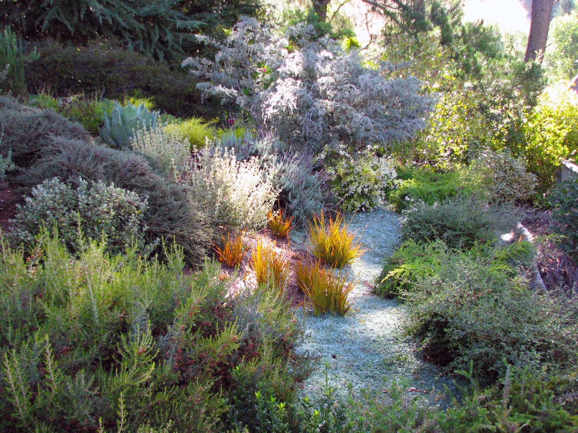 25 Mediterranean Dry Garden Ideas You Should Check | SharonSable