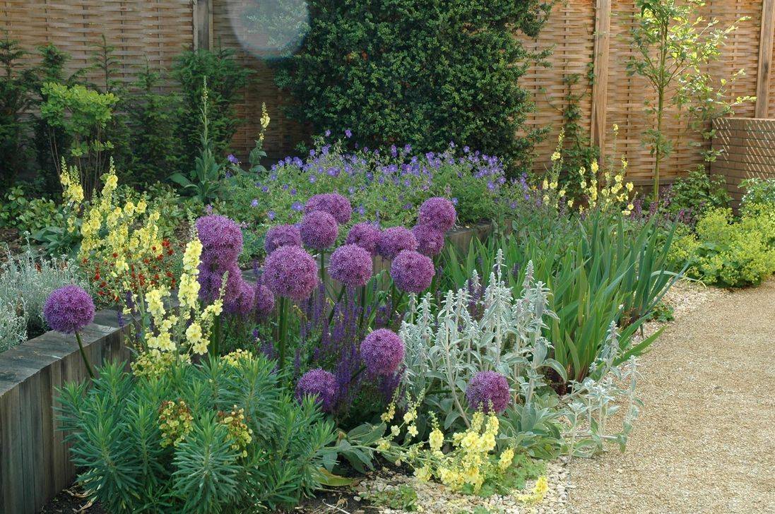 26 Mediterranean Garden Plants Ideas You Should Check | SharonSable