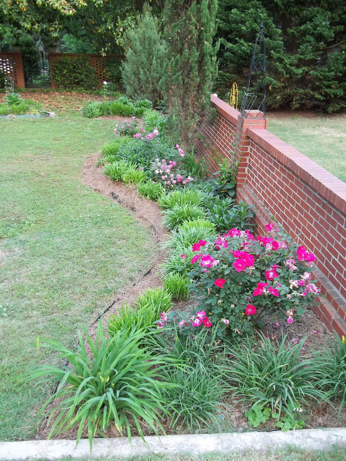 22 Sunny Garden Border Ideas Worth a Look | SharonSable