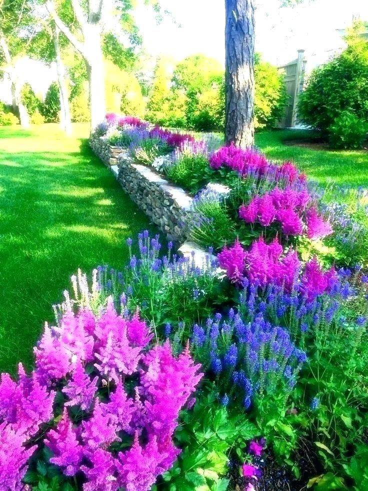 24 Full Sun Garden Plants Ideas To Try This Year | SharonSable