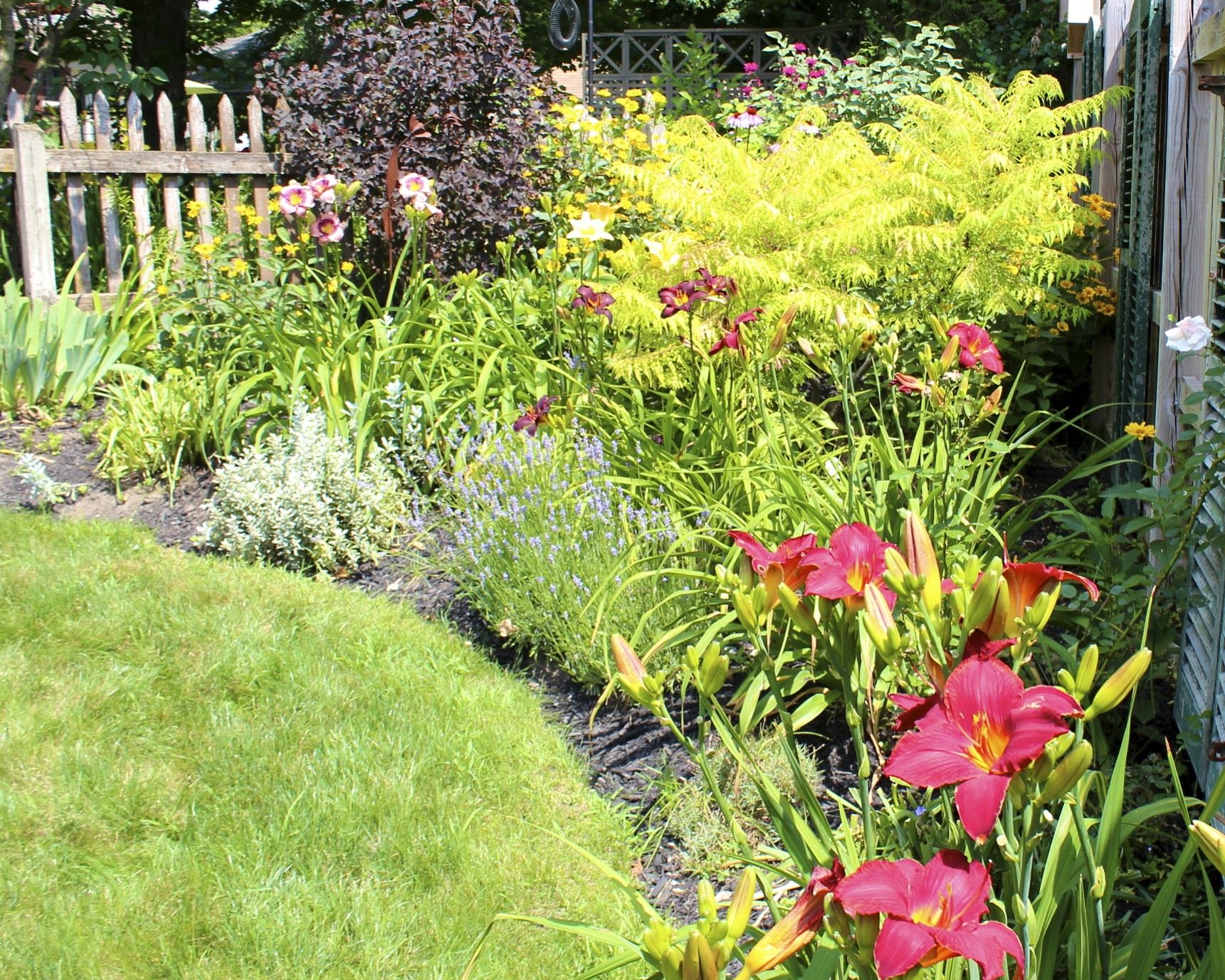 23 Best Perennials for Sunny Garden Ideas To Try This Year | SharonSable