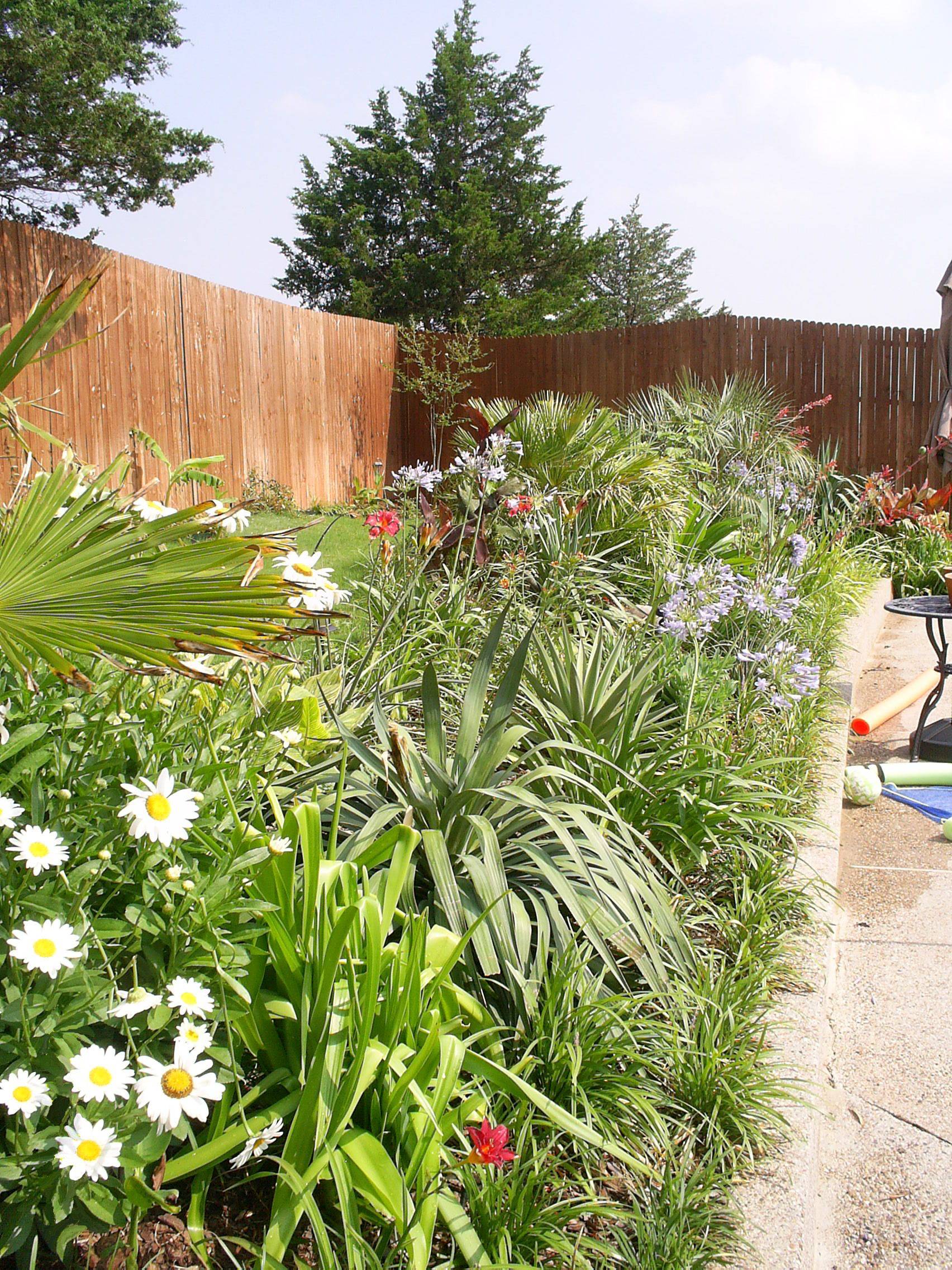27 Full Sun Garden Ideas To Try This Year | SharonSable