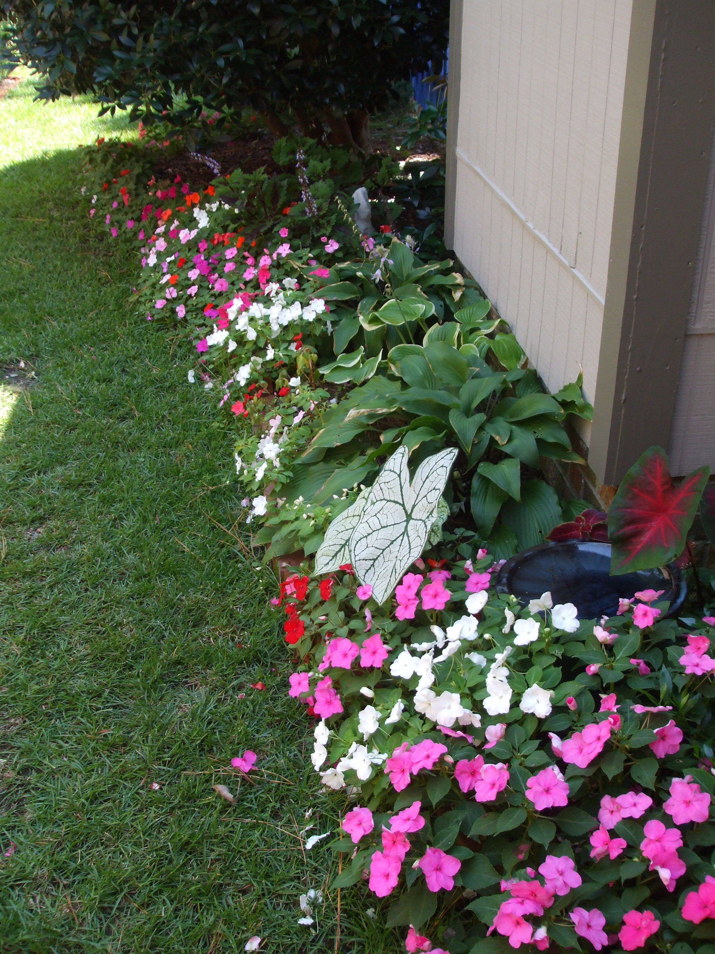23 Walkway Flower Garden Plan Ideas For This Year | SharonSable