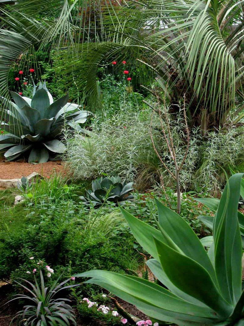 23 Lush Garden in Florida Ideas Worth a Look | SharonSable
