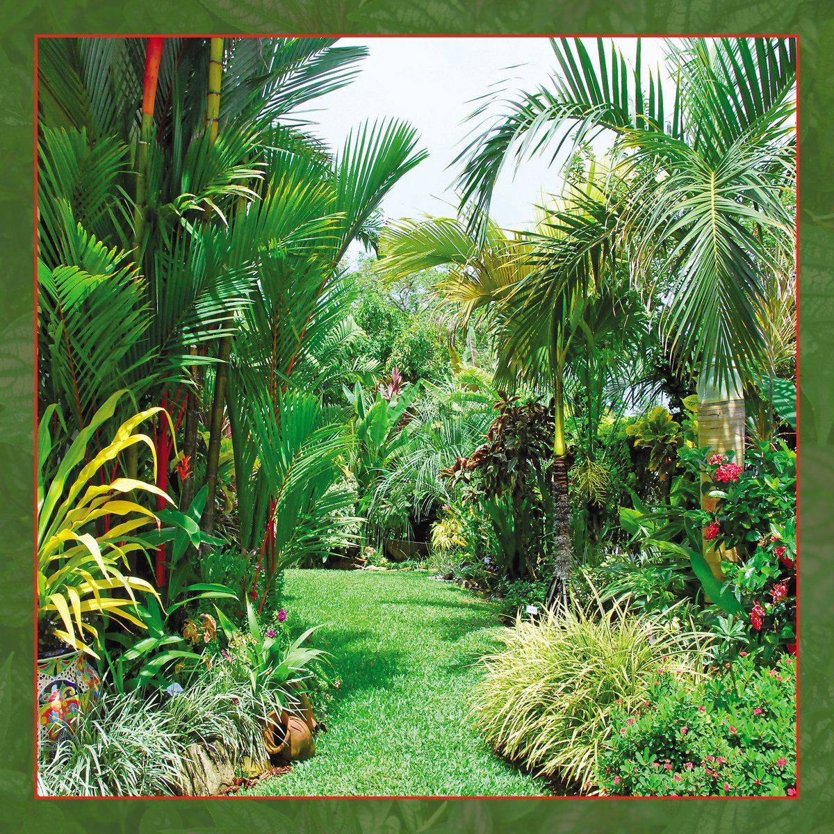 23 Lush Tropical Garden Plants Ideas To Try This Year | SharonSable