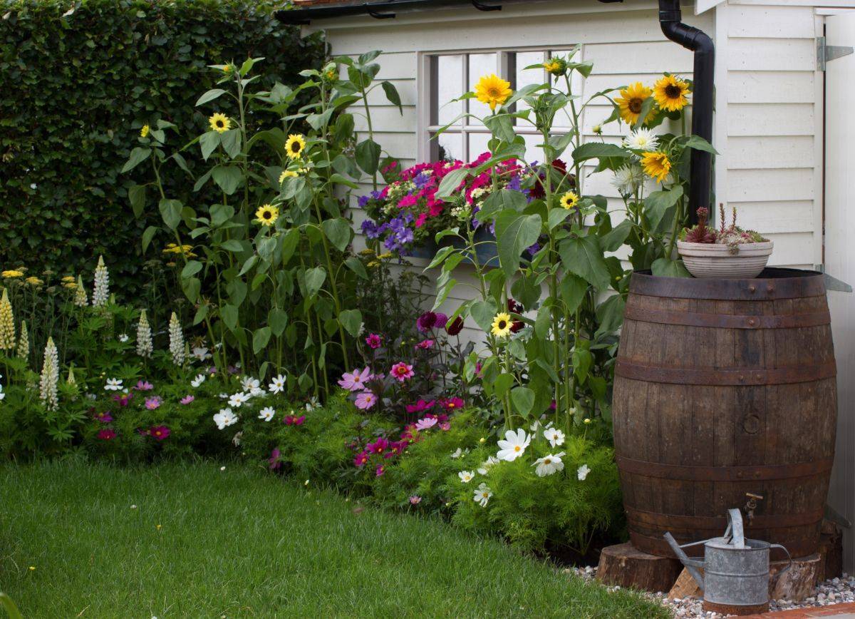 20 Cottage Garden Planting Scheme Ideas Worth to Check | SharonSable