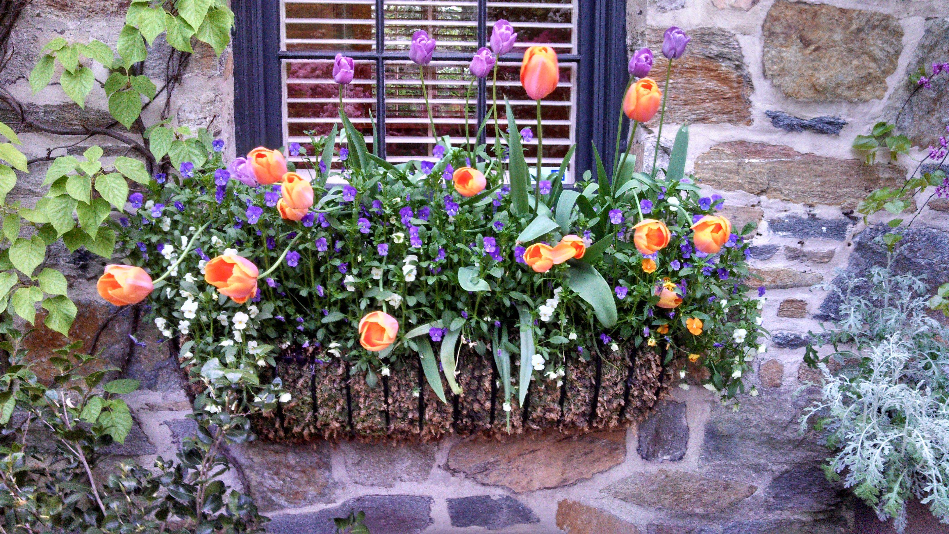 22 Decoris Garden Ideas You Cannot Miss | SharonSable