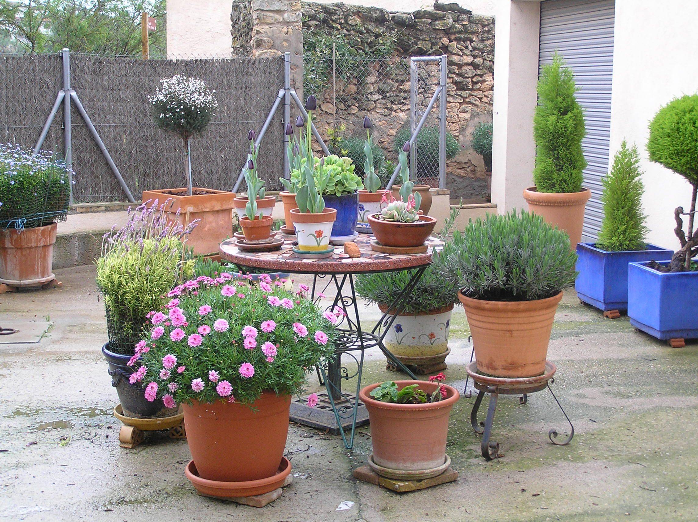 22 Decoris Garden Ideas You Cannot Miss | SharonSable