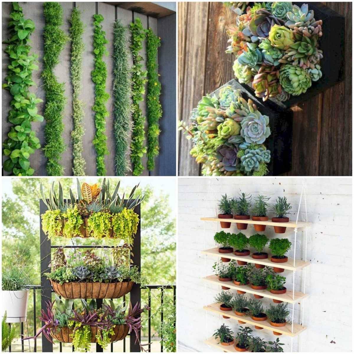 22 Decoris Garden Ideas You Cannot Miss | SharonSable