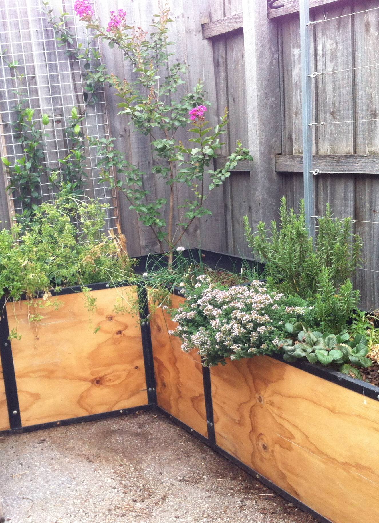 24 Inner Garden Ideas For This Year | SharonSable