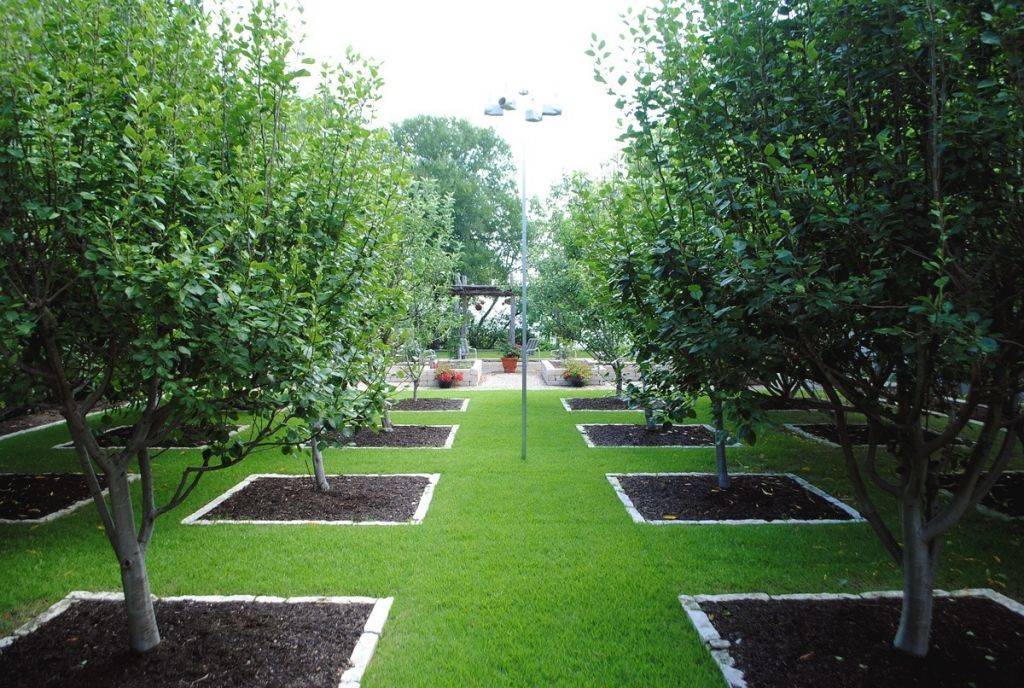 21 Fruit Tree Garden Design Ideas You Gonna Love | SharonSable
