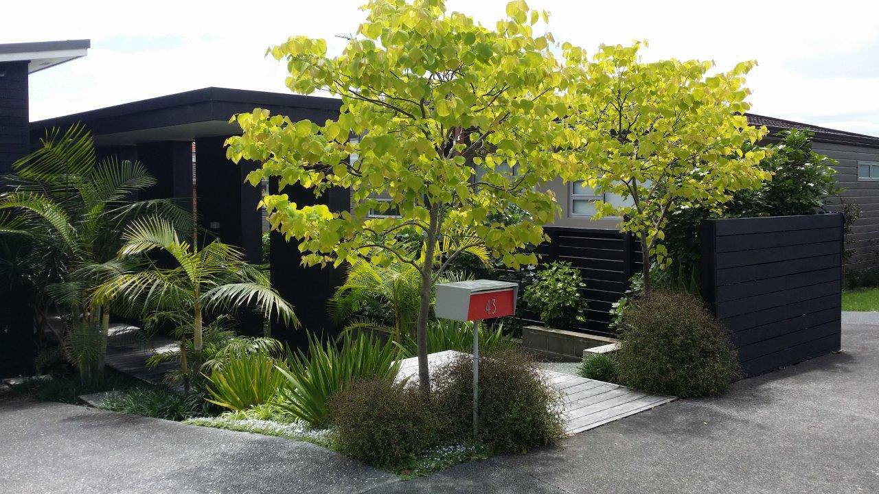 21 New Zealand Small Garden Design Ideas To Consider | SharonSable