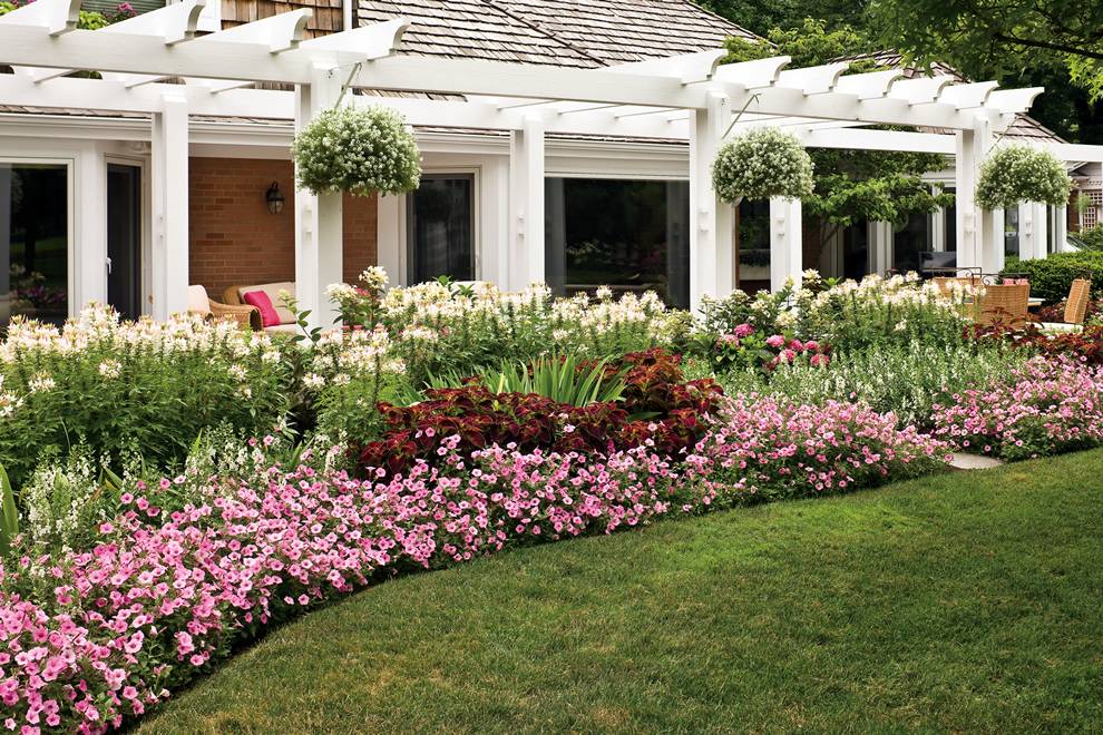 23 Spring Flowers Plants Garden Ideas You Gonna Love | SharonSable