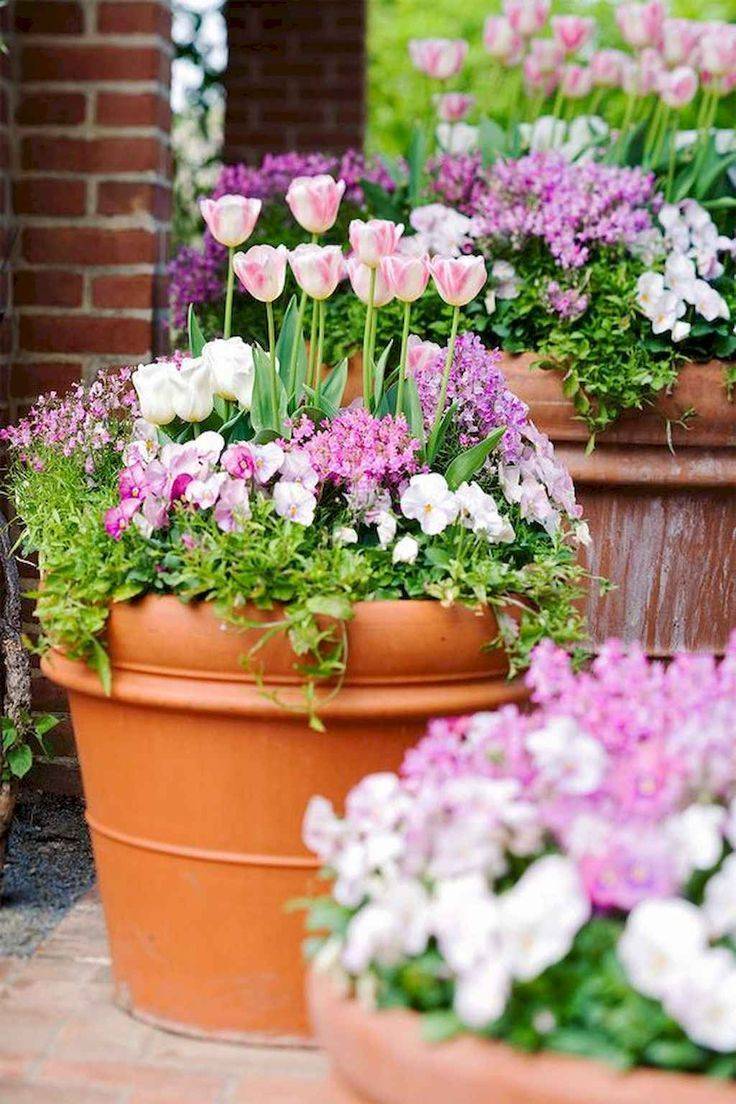 23 Spring Flowers Plants Garden Ideas You Gonna Love | SharonSable