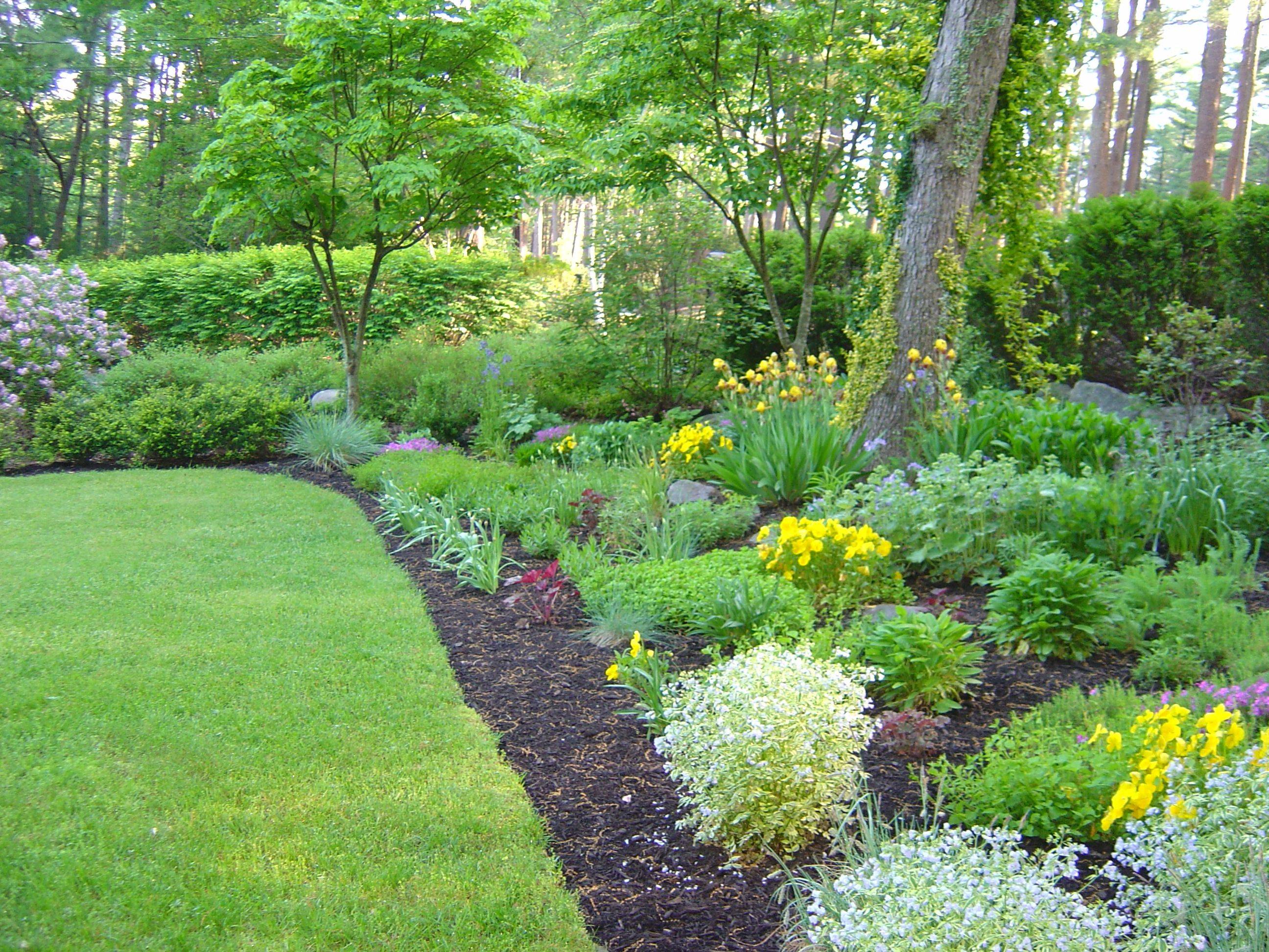 22 Ireland Garden Ideas To Try This Year | SharonSable