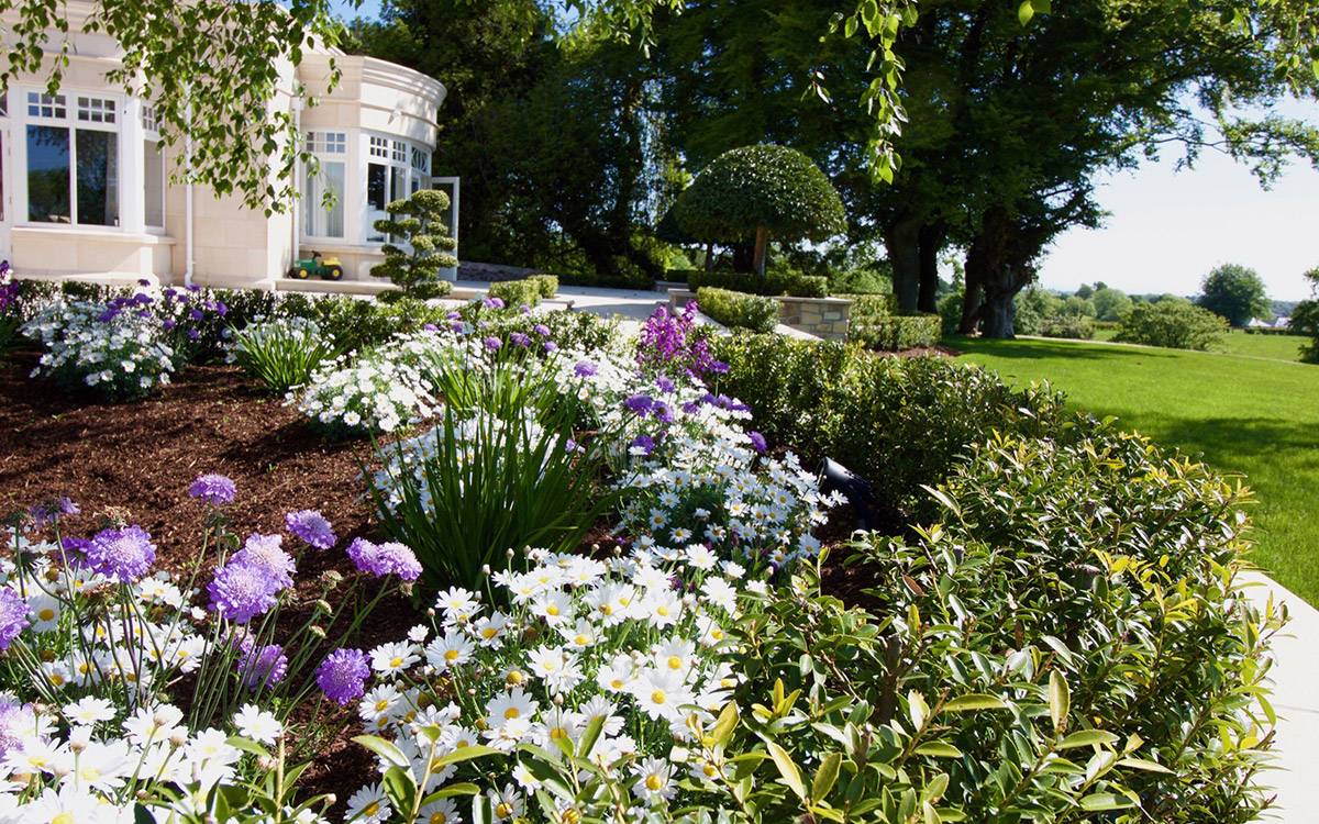 22 Ireland Garden Ideas To Try This Year | SharonSable