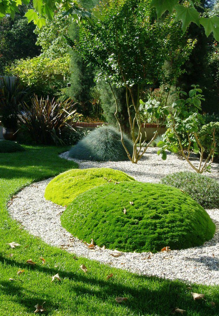 15 Irish Moss Garden Ideas You Cannot Miss | SharonSable