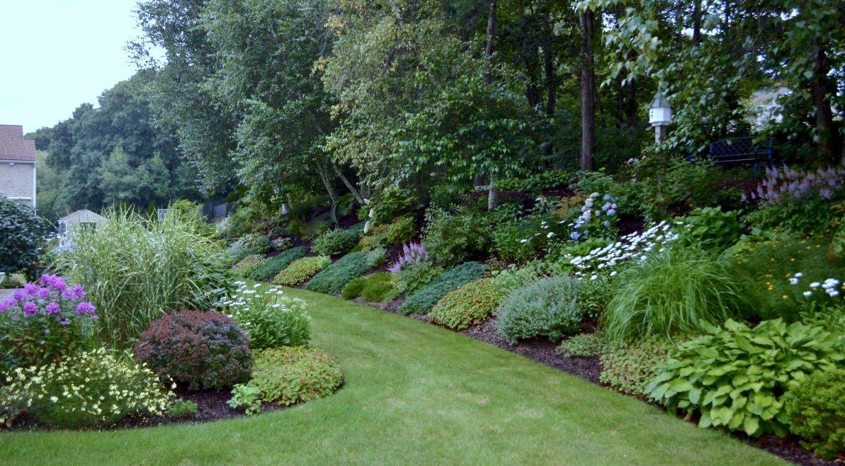 24 Gaelic Garden Ideas To Consider | SharonSable