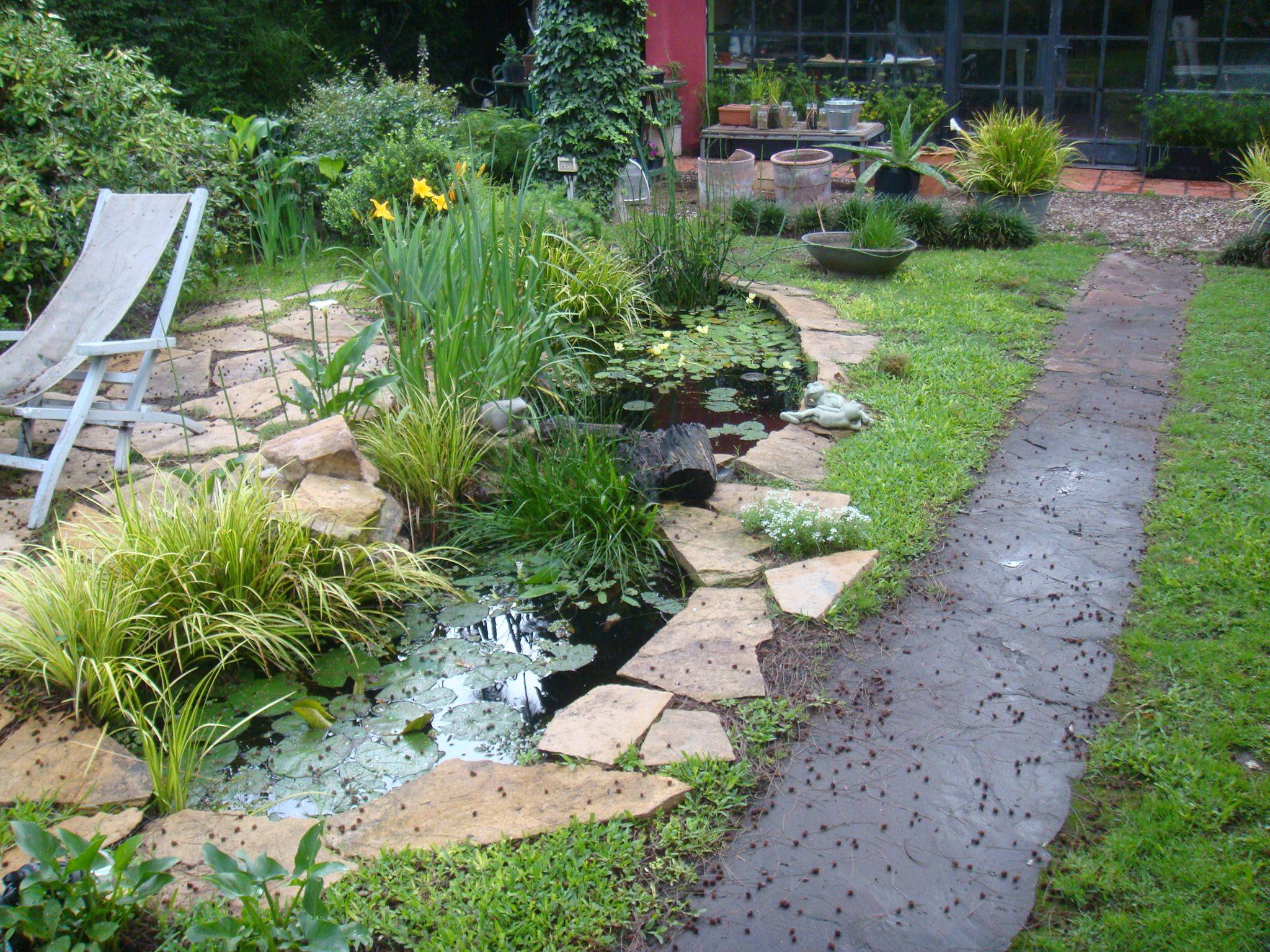 22 Cottage Garden Pond Ideas You Must Look | SharonSable