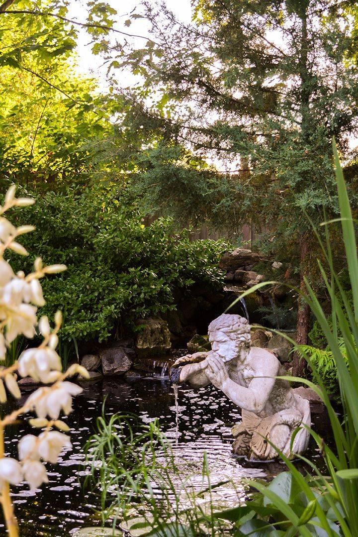 22 Cottage Garden Pond Ideas You Must Look | SharonSable