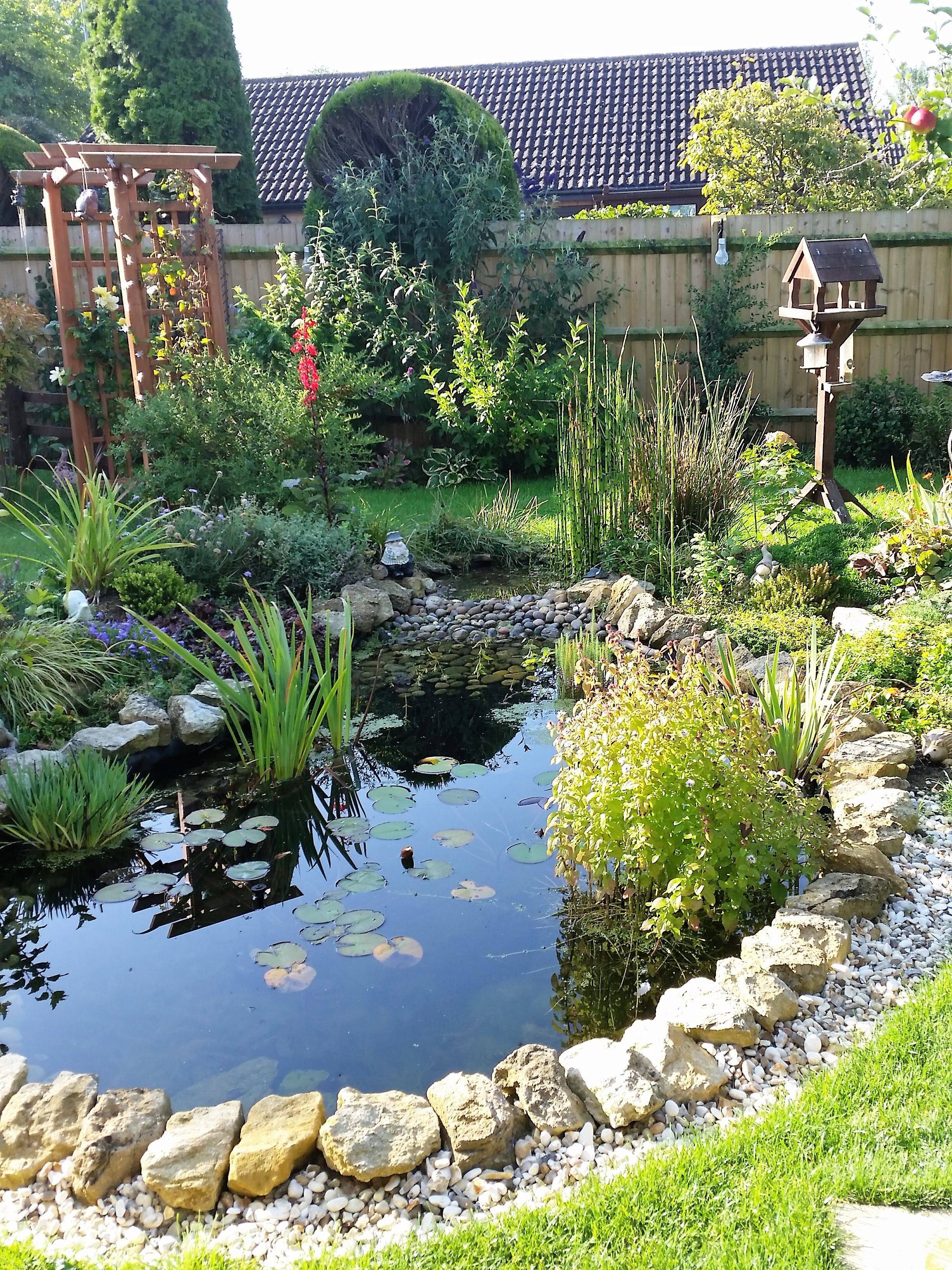 22 Cottage Garden Pond Ideas You Must Look | SharonSable