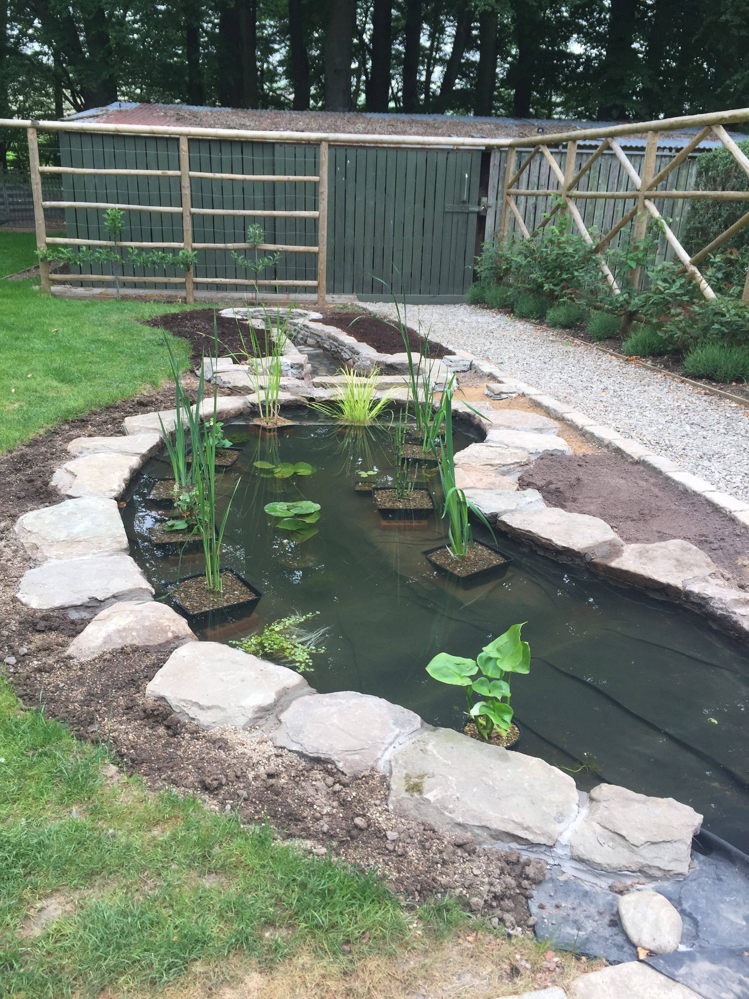 22 Cottage Garden Pond Ideas You Must Look | SharonSable