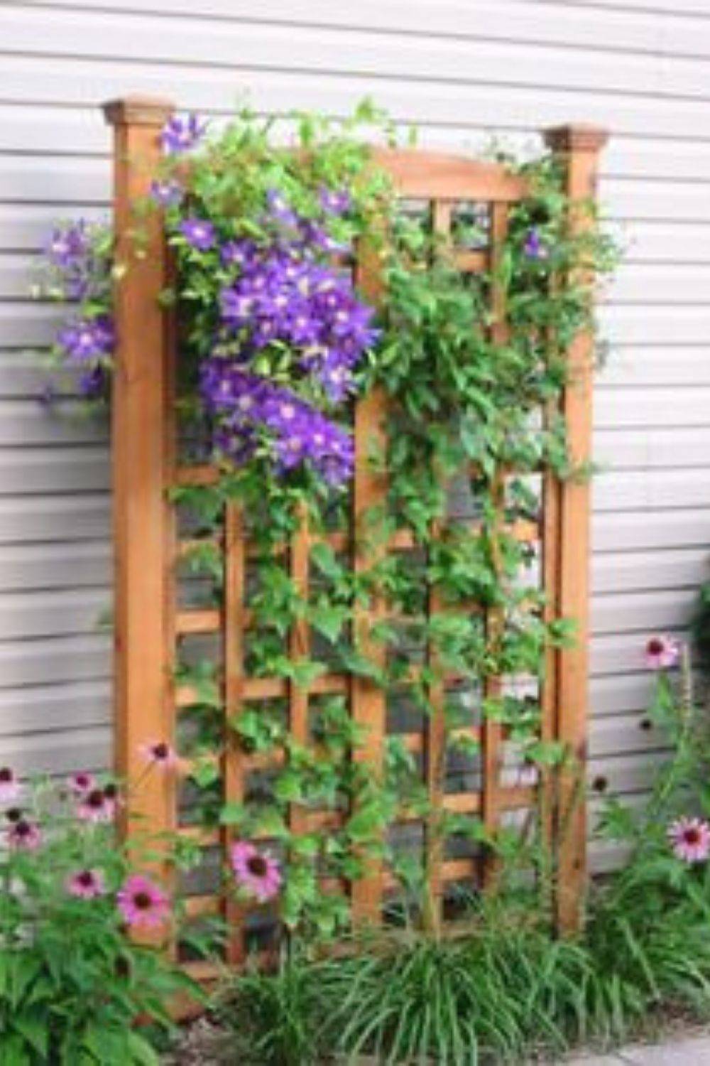24 Creative Garden Trellis Ideas To Try This Year | SharonSable