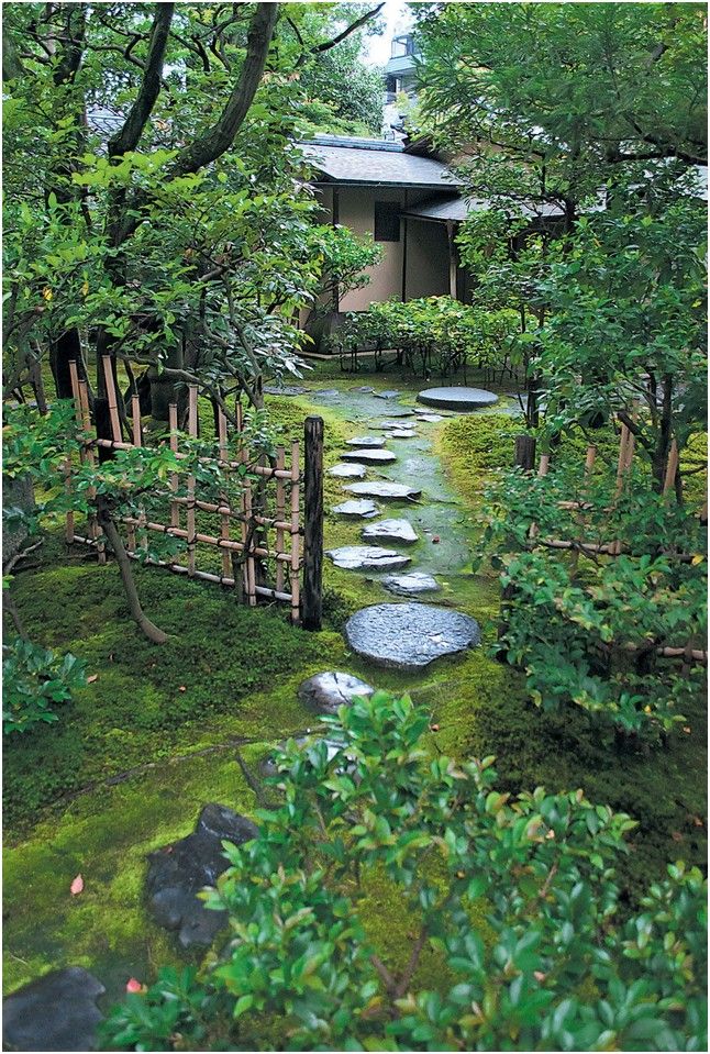 20 Chinese Garden Design Layouts Ideas You Cannot Miss | SharonSable