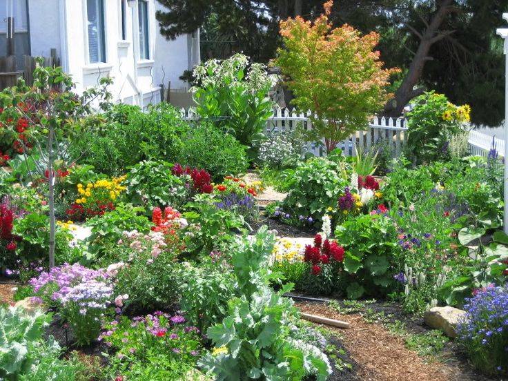 25 Wildflower Garden Design Plans Ideas To Try This Year | SharonSable