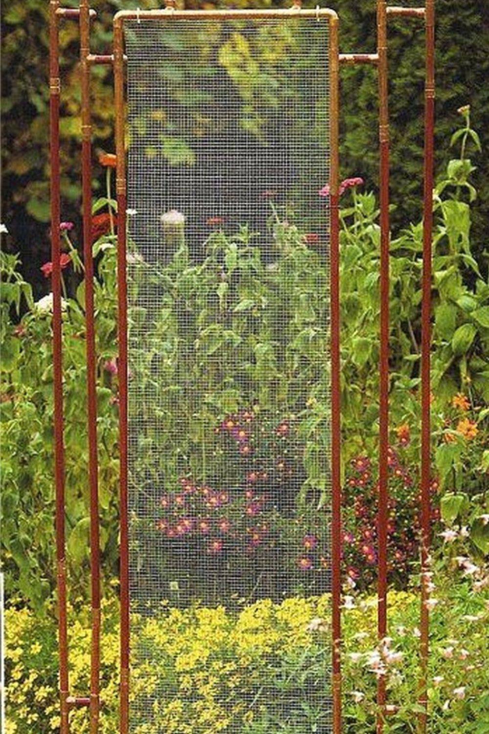 21 Modern Garden Trellis Ideas To Consider | SharonSable