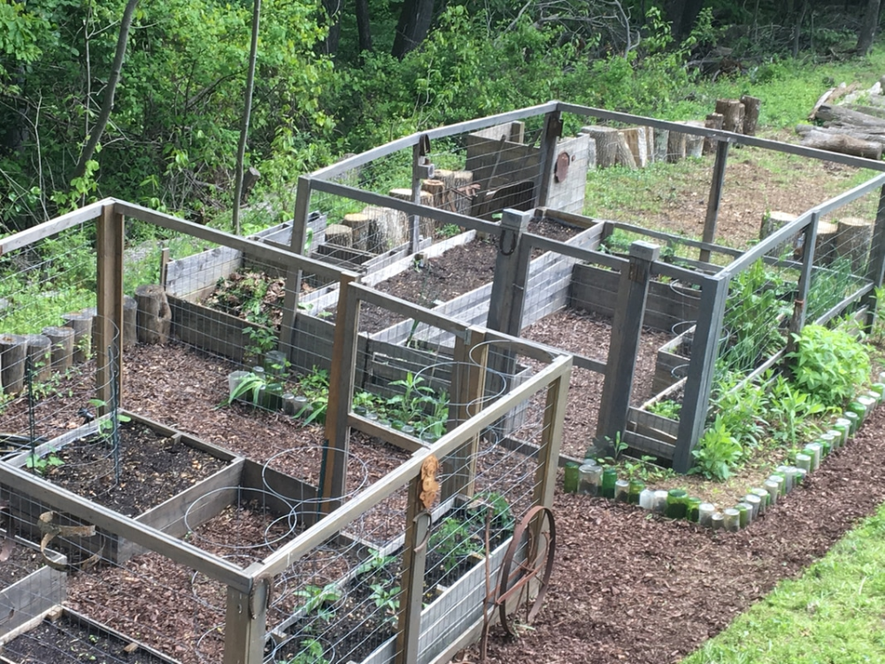 25 Screened Raised Bed Garden Ideas To Consider | SharonSable