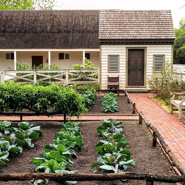 19 Kitchen Garden Landscape Design Ideas For This Year | SharonSable