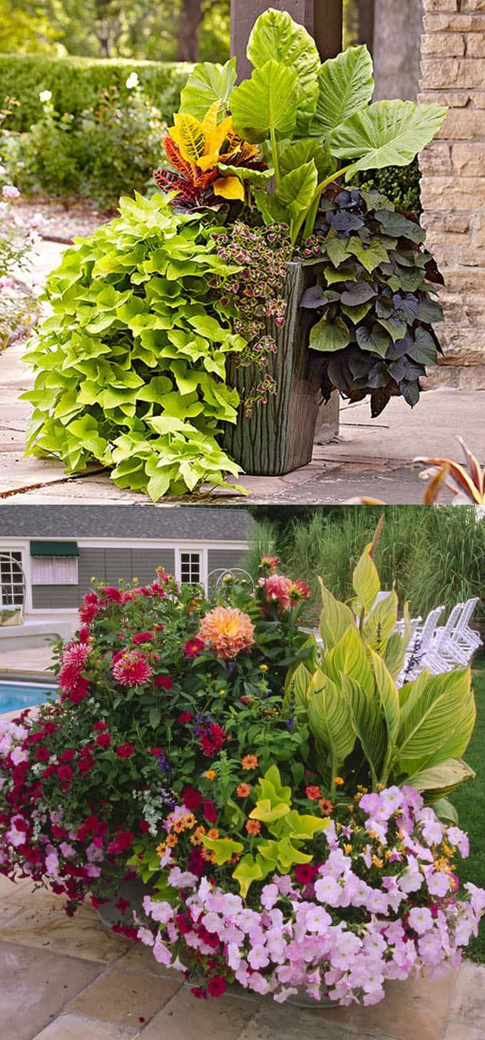 16 Container Garden Design Plans Ideas You Cannot Miss | SharonSable
