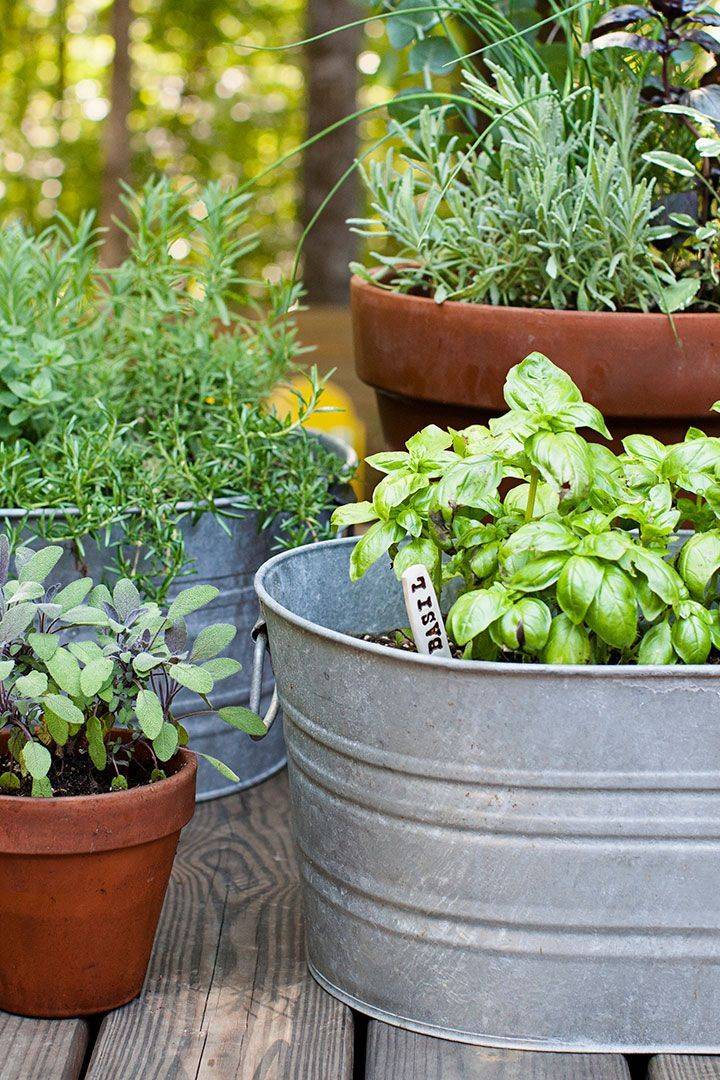 22 Herb Garden Pots Ideas To Consider | SharonSable