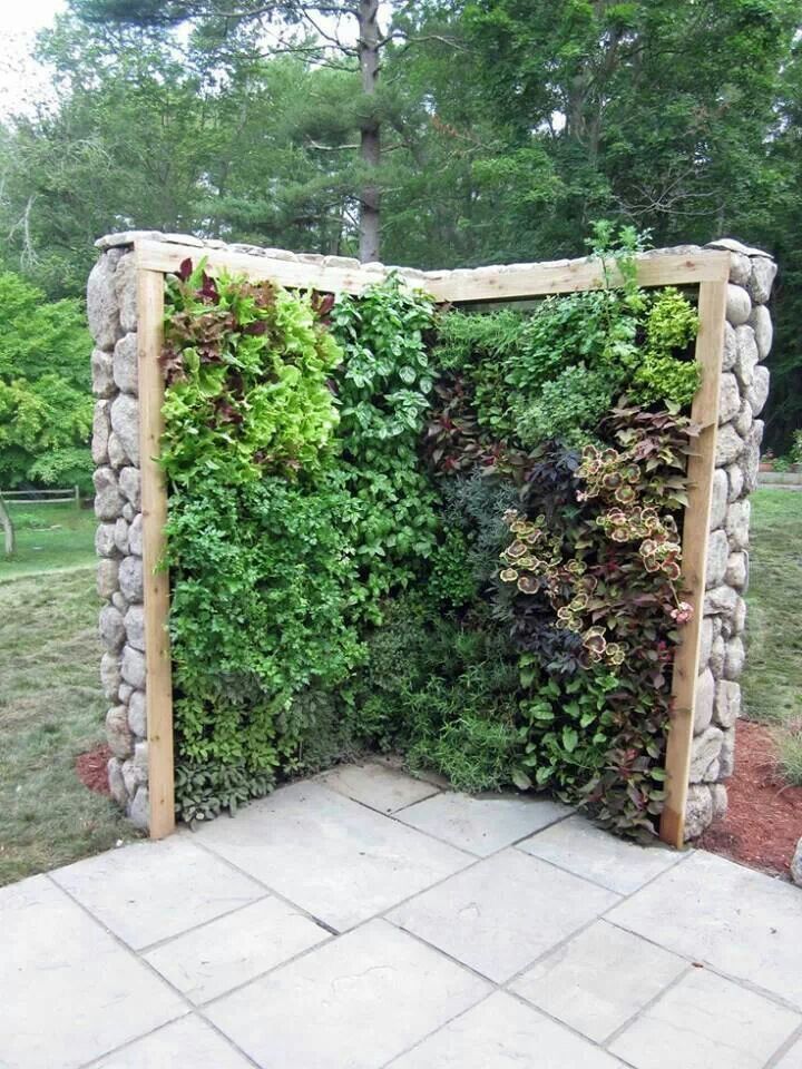 23 Garden Partition Ideas To Try This Year | SharonSable
