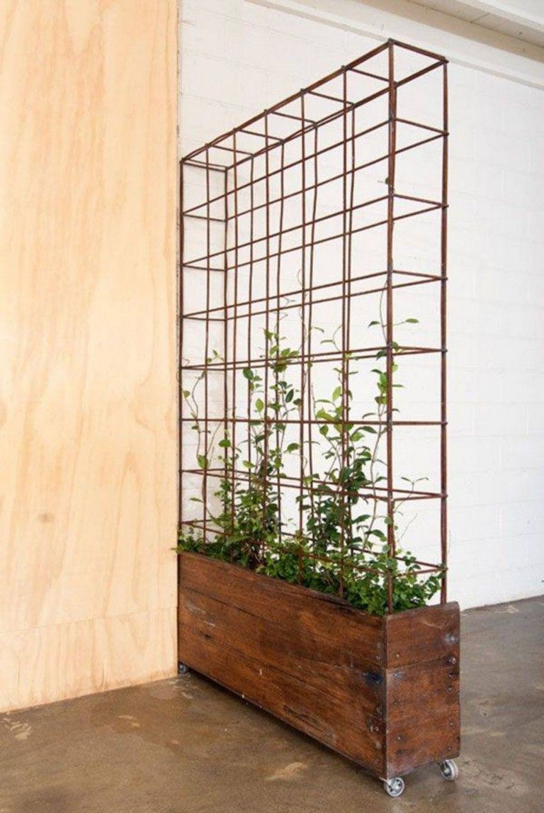 23 Garden Partition Ideas To Try This Year | SharonSable