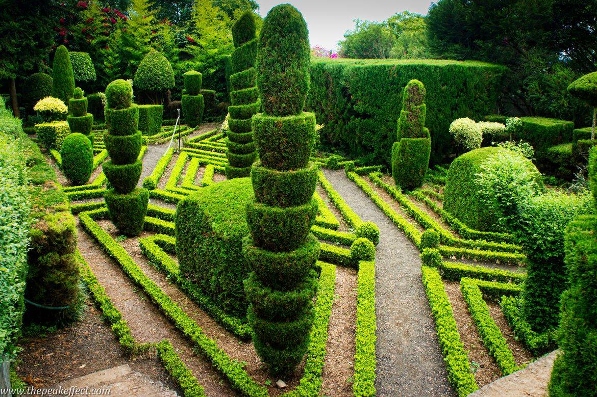 19 Manicured Garden Ideas You Cannot Miss | SharonSable