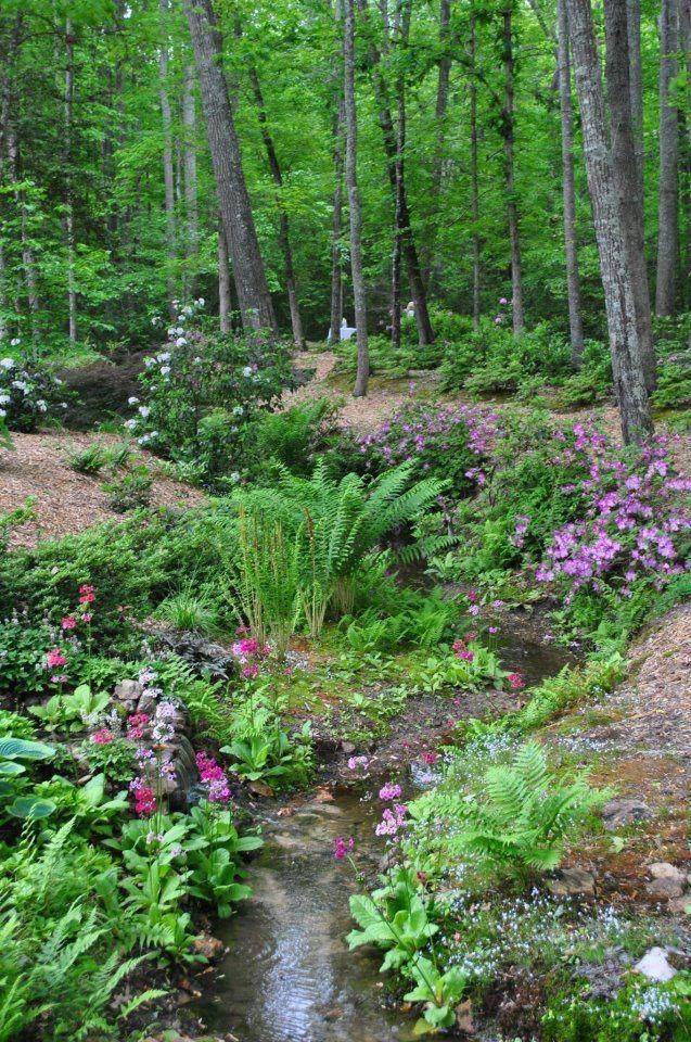 23 Woodland Forest Garden Ideas To Try This Year | SharonSable