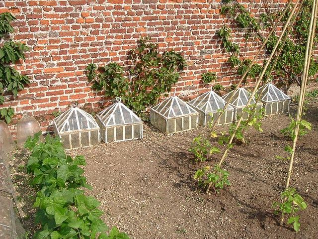 19 Victorian Kitchen Garden Ideas You Should Check | SharonSable