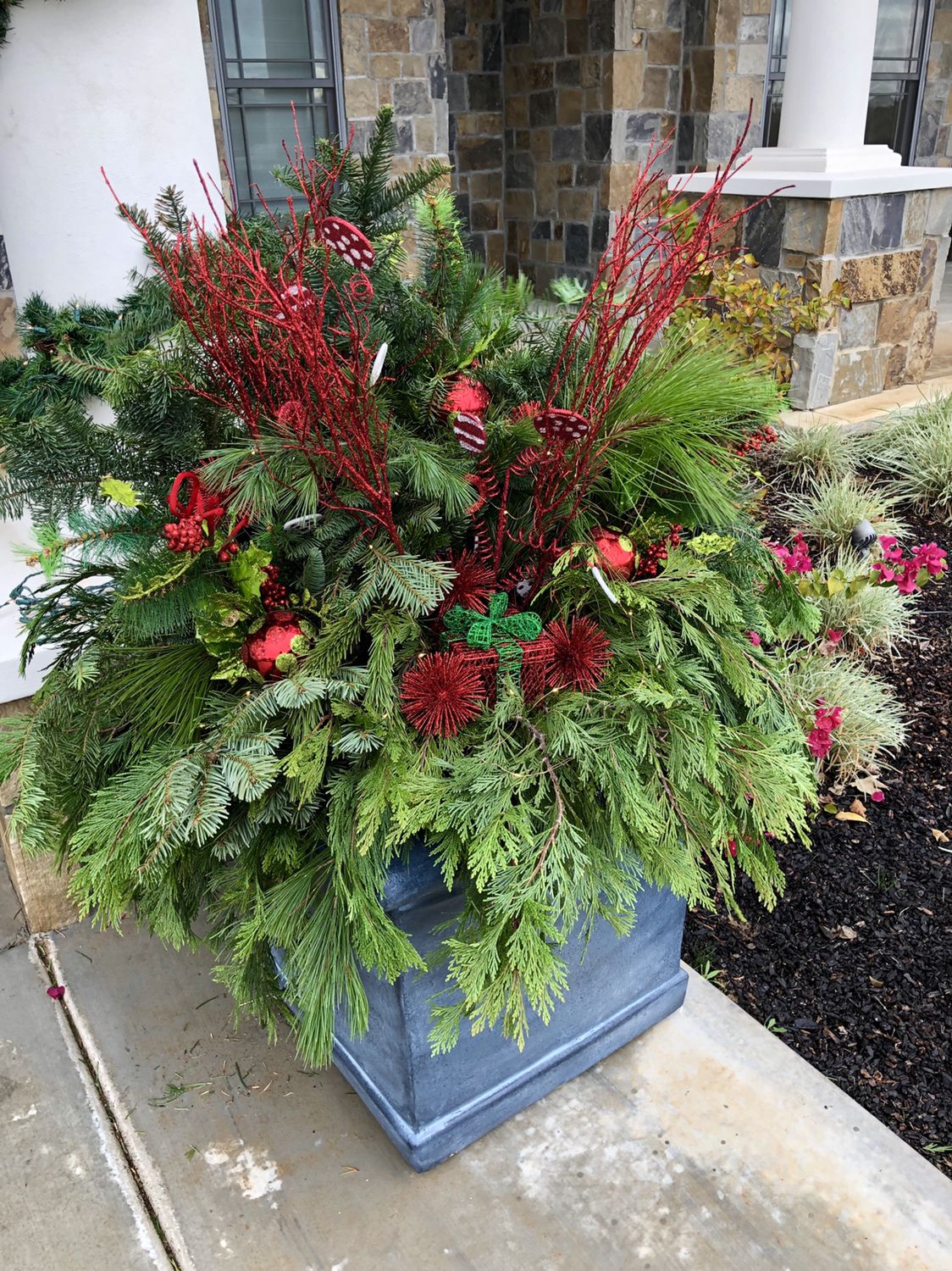 18 Winter Garden Plants Ideas You Gonna Love | SharonSable